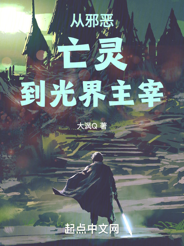 《从邪恶亡灵到光界主宰》小说在线阅读 首发起点中文网
